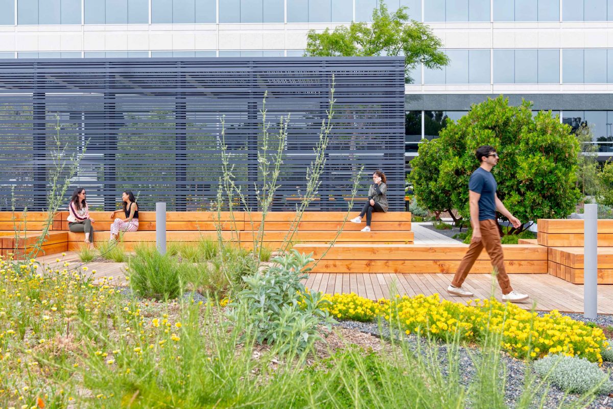 Landscape Architecture - Urban Villages to City Parks - RIOS